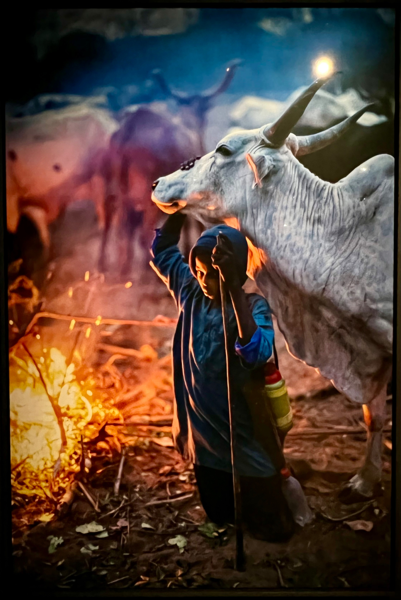 Pascal Maitre, Jeune bouvier, campement peul d’Ocha, pres de Dassa ...